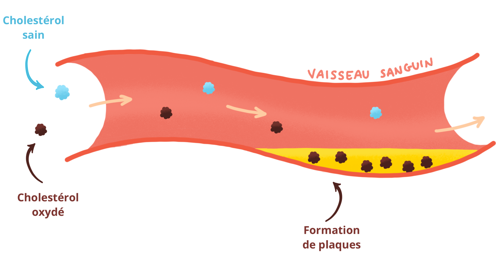 Le petit-déjeuner idéal - Yuka