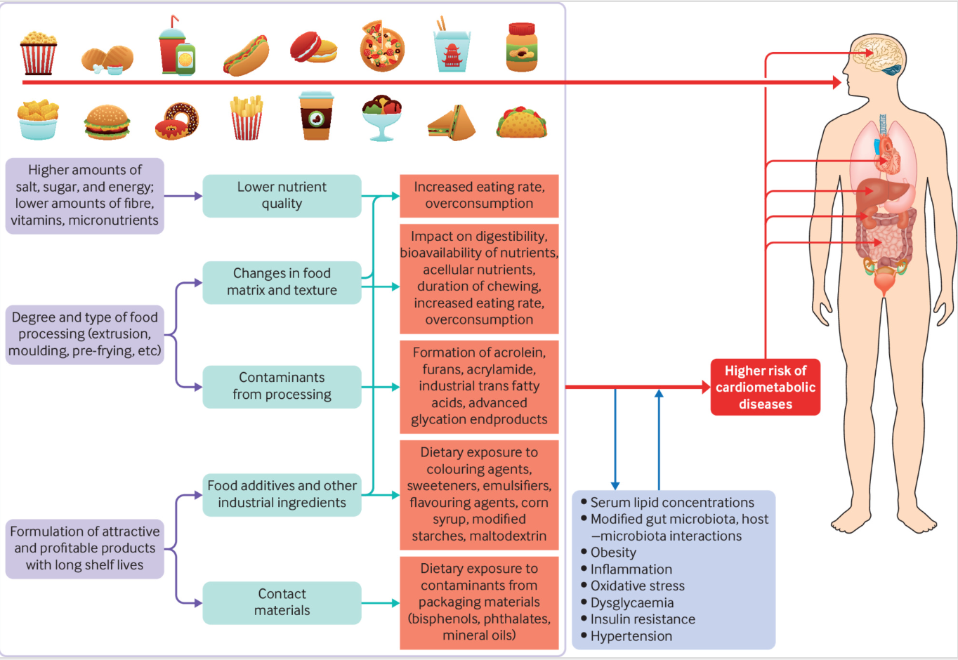 Why Regulating Ultra-Processed Foods Is a Public Health Priority - Yuka